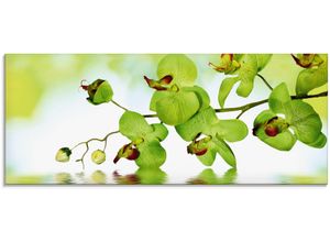 4059745101905 - Glasbild ARTLAND Schöne Orchidee mit grünem Hintergrund Bilder Gr B H 125 cm x 50 cm Glasbild Blumen 1 St grün Glasbilder in verschiedenen Größen