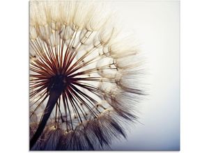 4062144102459 - Glasbild ARTLAND Große Pusteblume Bilder Gr B H 20 cm x 20 cm Blumen 1 St blau Glasbilder Bilder in verschiedenen Größen