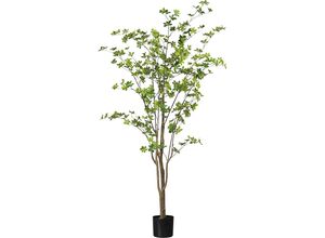 4003529912652 - Louisiana-Baum im Kunststofftopf mit PU-Stamm Höhe 1800 mm kaiserkraft