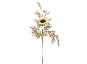 4019844825034 - Kunstblumenstrauß IGEA Kunstblumen Set Sonnenblume beige (creme) B32cm H70cm L16cm Polyester Kunstpflanzen Mit Dekozweig 70cm Blumenarrangement Sonnenblumenzweig künstlich Deko