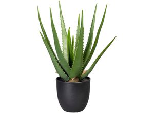4064118968252 - Künstliche Zimmerpflanze CREATIV GREEN Aloe Kunstpflanzen Gr B H 20 cm x 47 cm 1 St grün Künstliche Zimmerpflanzen