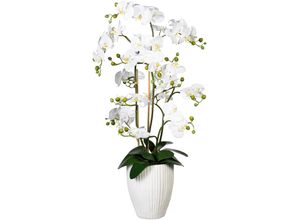 4064118137313 - Kunstorchidee CREATIV GREEN Deko-Orchidee Phalaenopsis XL im Keramiktopf weiß Kunstpflanzen B H L 50cm x 110cm x 40cm Obermaterial 100% Polyethylen B50cm H110cm L40cm