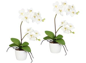 4064118039877 - Kunstpflanze CREATIV GREEN Orchidee Phalaenopsis Kunstpflanzen Gr H 60 cm 2 St weiß Künstliche Zimmerpflanzen Kunstpflanzen im Keramiktopf