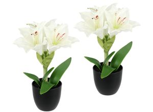 4019844826697 - Kunstblume IGEA Amaryllis im Topf weiß B17cm H28cm L14cm Polyester Kunstpflanzen