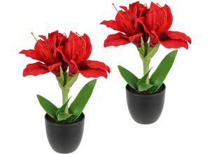 4019844826673 - Kunstblume IGEA Amaryllis im Topf rot B17cm H28cm L14cm Polyester Kunstpflanzen