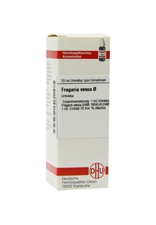 DHU-Arzneimittel Fragaria Vesca Urtinktur 20 ml