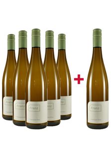Weingut Franz Franz 2020 5+1 Paket Sauvignon Blanc trocken