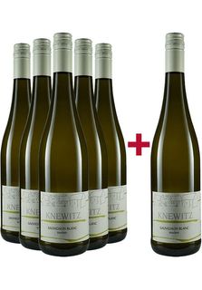 Zehnthof Knewitz 2020 5+1 Paket Sauvignon Blanc trocken