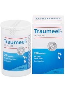 Heel Traumeel T ad us.vet.Tabletten 250 St