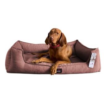 trixi orthopdisches hundebett TRIXIE Orthopdisches Hundebett Lino mit hohem Rand  TRIXIE Heimtierbedarf  GmbH & Co. KG